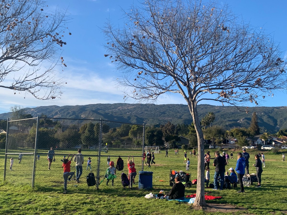 Lest We Forget – Steve Jacobsen, Ed.D